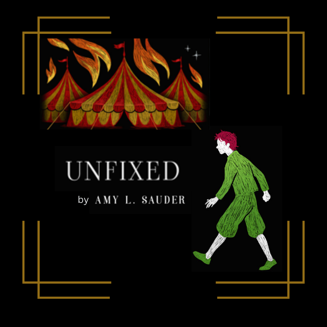 Meet Max: investigator of the vanishing circus - Amy L Sauder